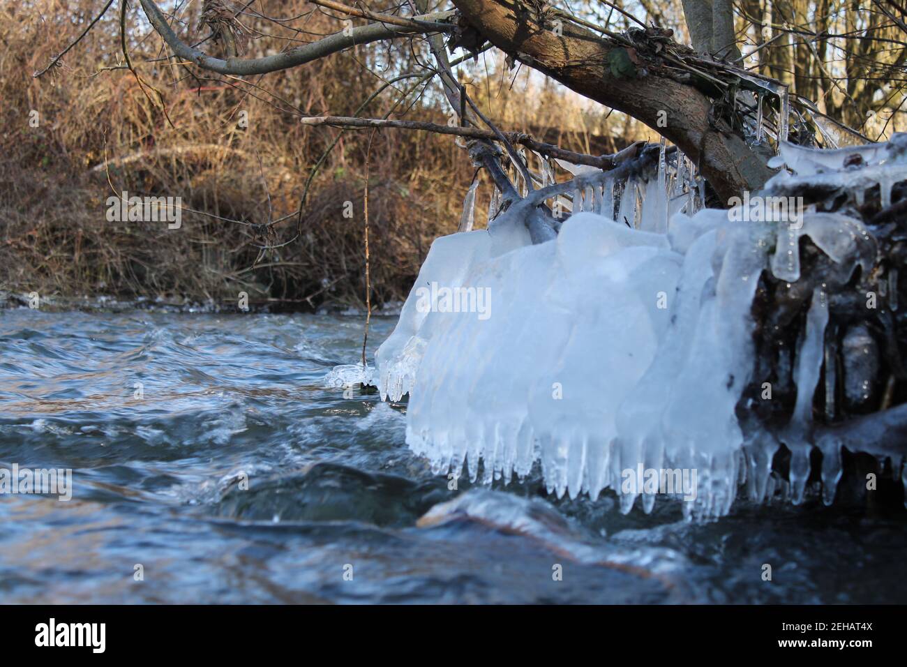 Amazing view of a frozen river in the forest Stock Photo - Alamy