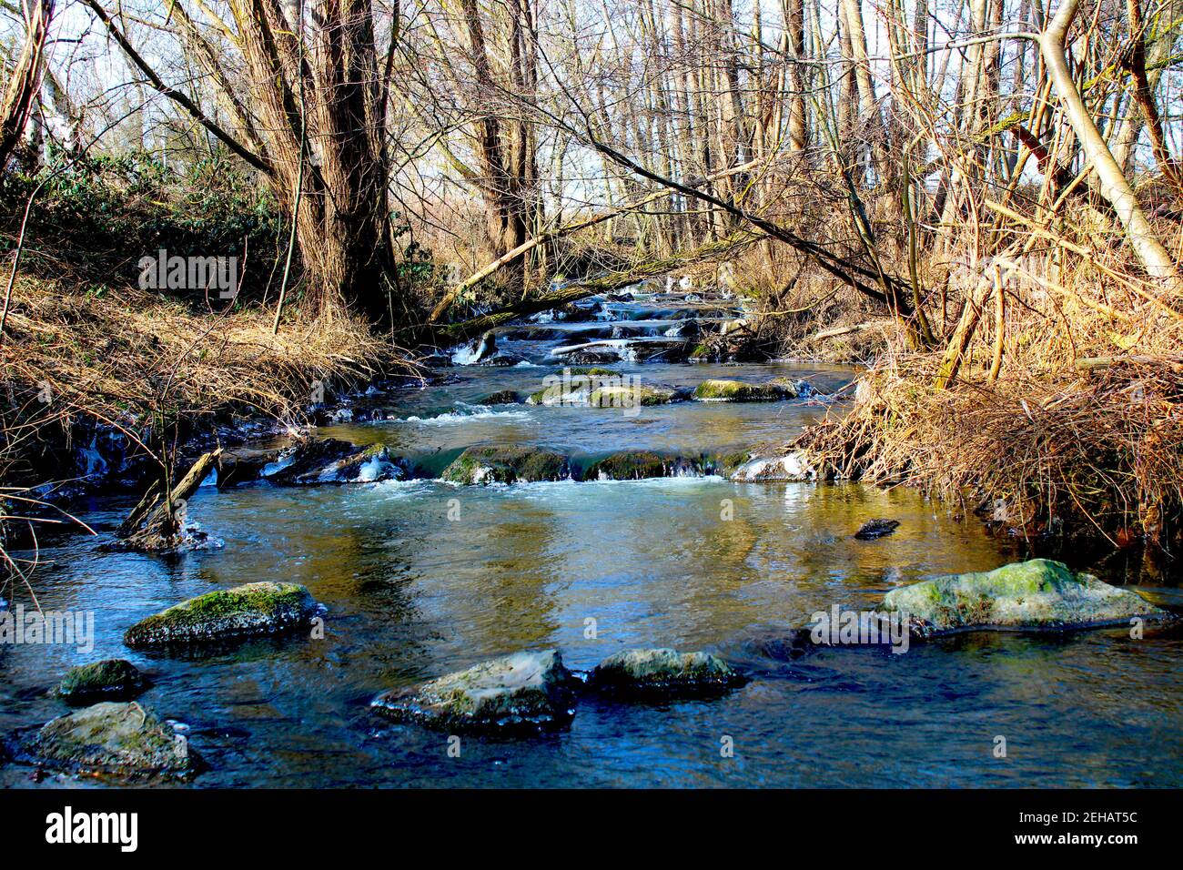 Amazing view frozen plants hi-res stock photography and images - Alamy