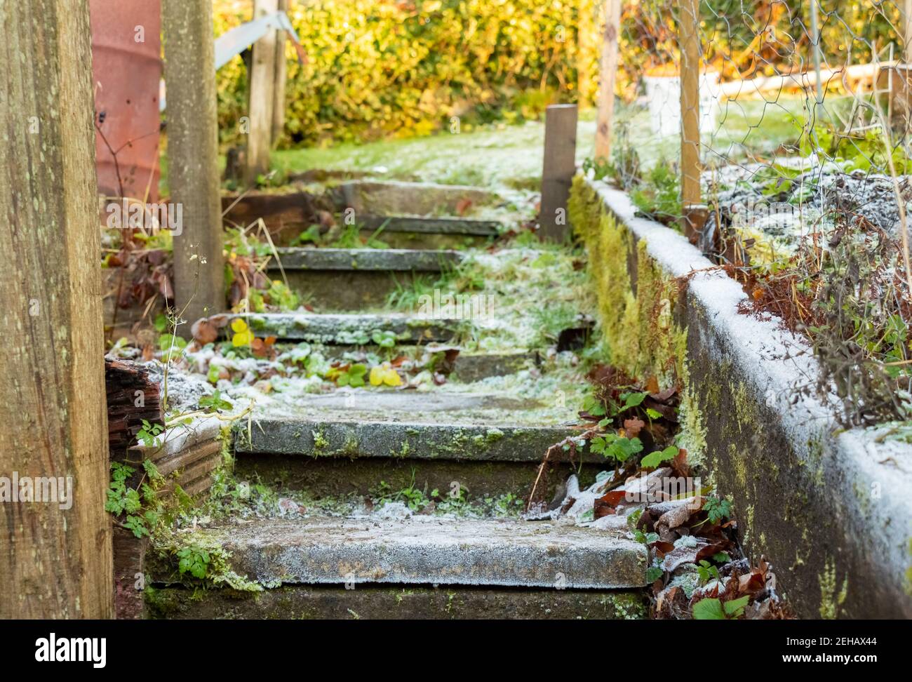 Ice stairs steps hi-res stock photography and images - Alamy