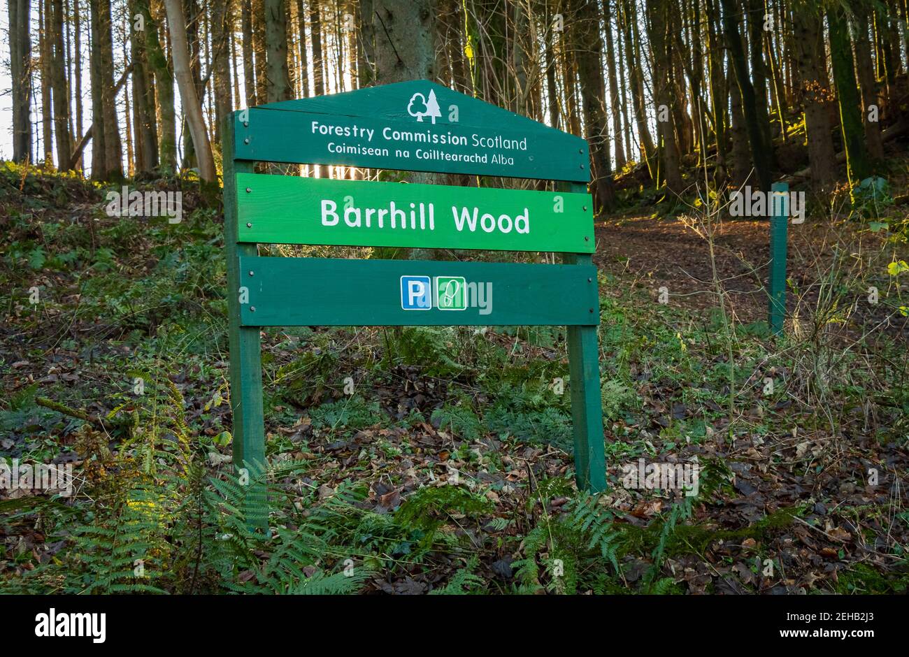 Forestry commission scotland hi-res stock photography and images - Alamy