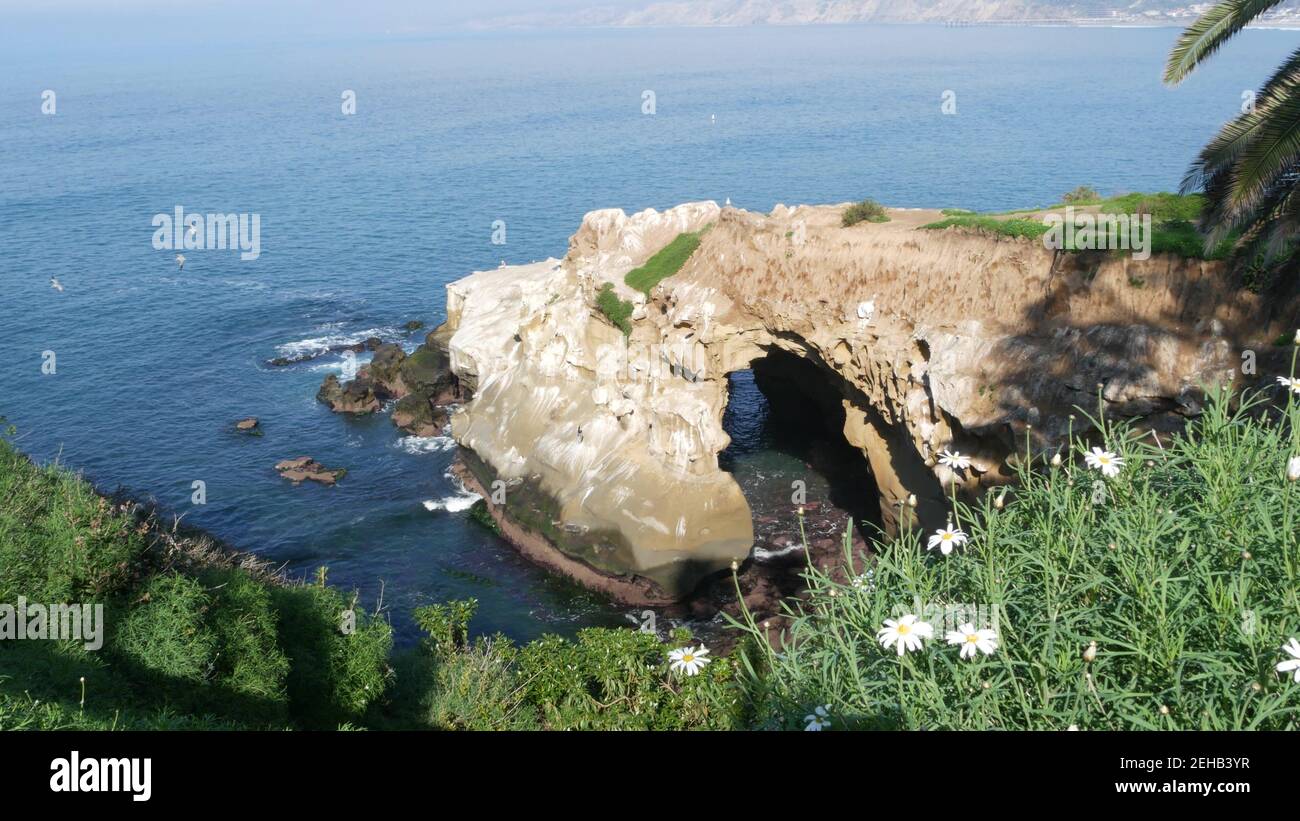 From above sea cave in La Jolla Cove. Lush foliage and sandstone grotto ...