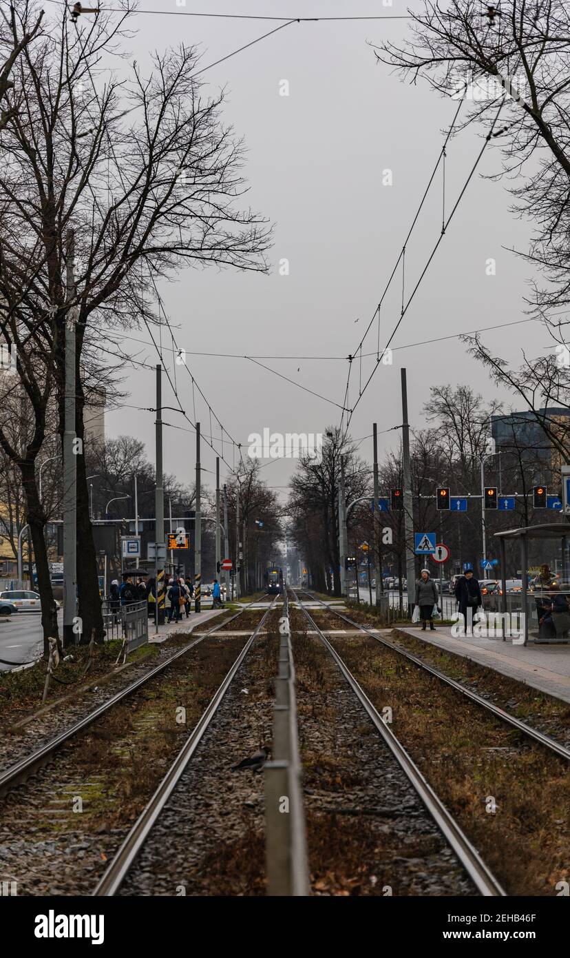 Wroclaw January 18 2020 Long tram railway between high trees and road ...