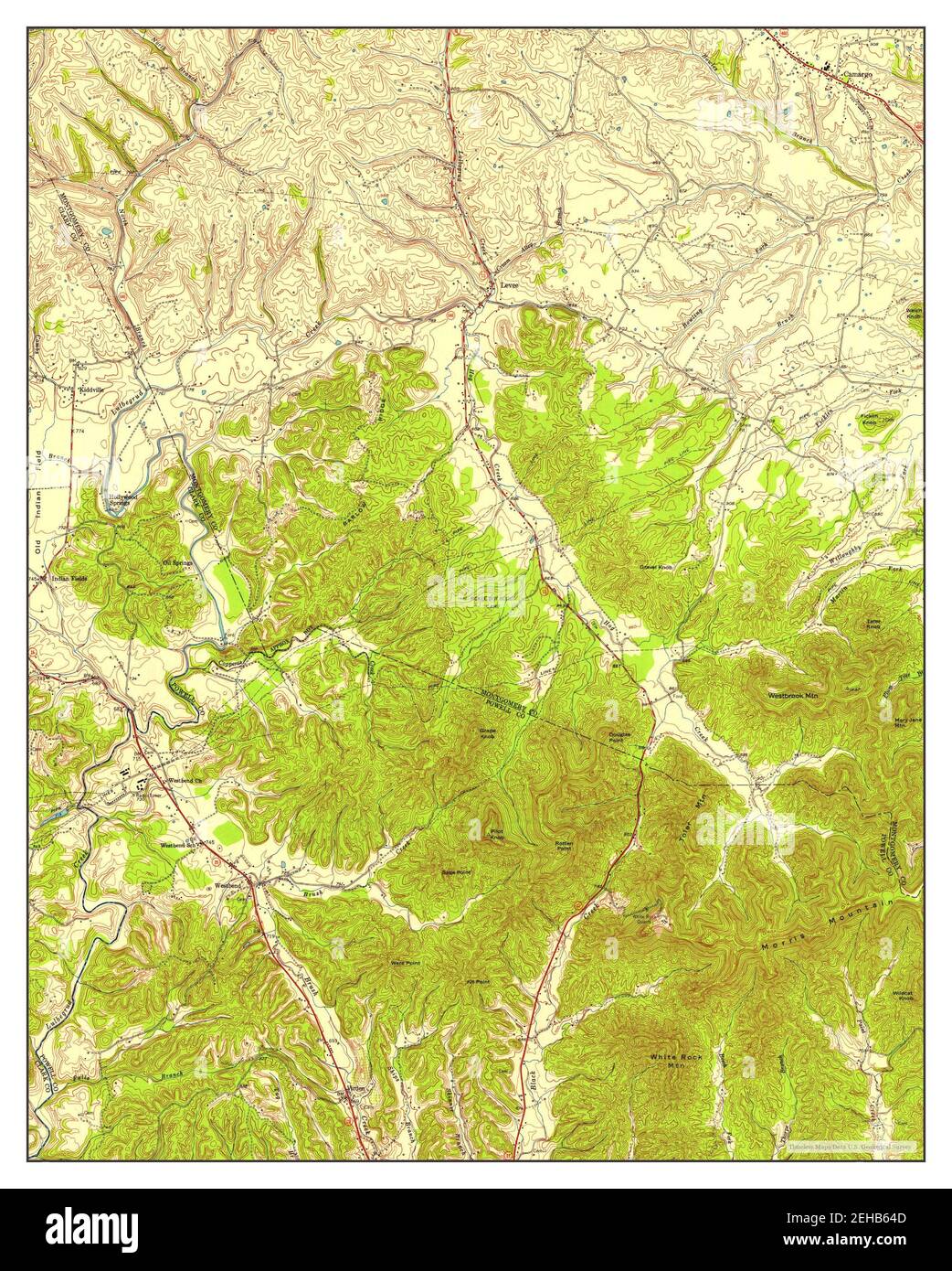 Levee, Kentucky, map 1950, 1:24000, United States of America by ...
