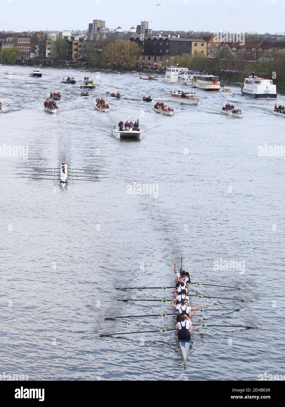Rowing team finish hi-res stock photography and images - Alamy