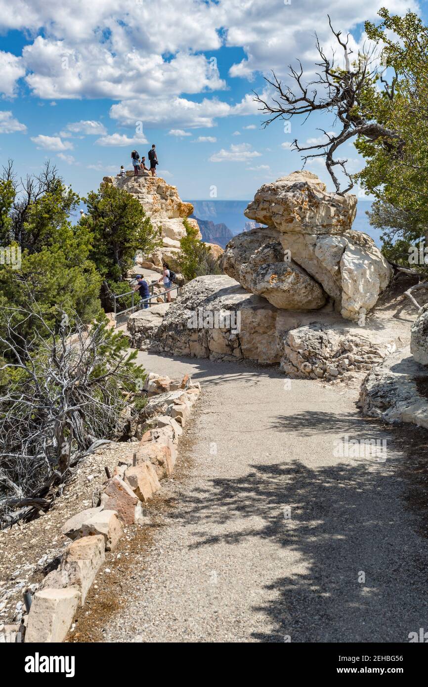 Canyon rim north trail hi-res stock photography and images - Alamy