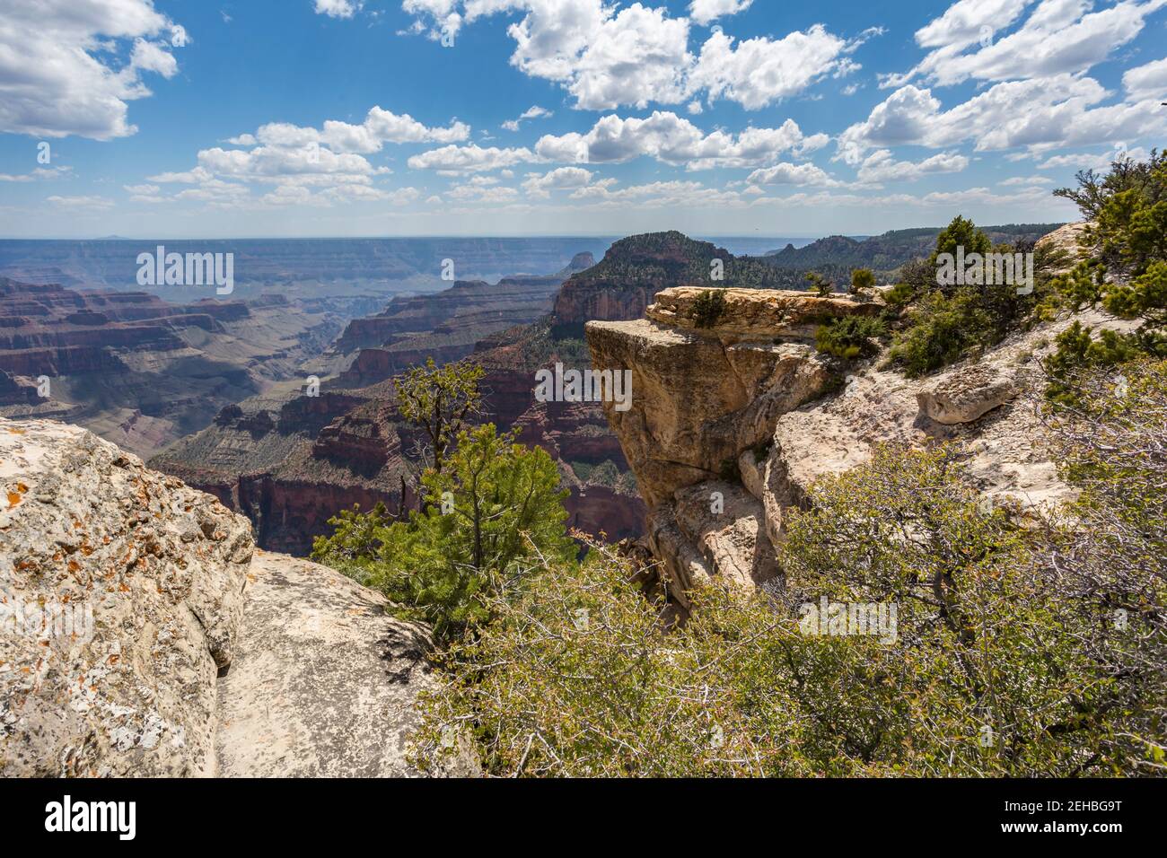 North Rim of the Grand Canyon in Northern Arizona, USA Stock Photo - Alamy