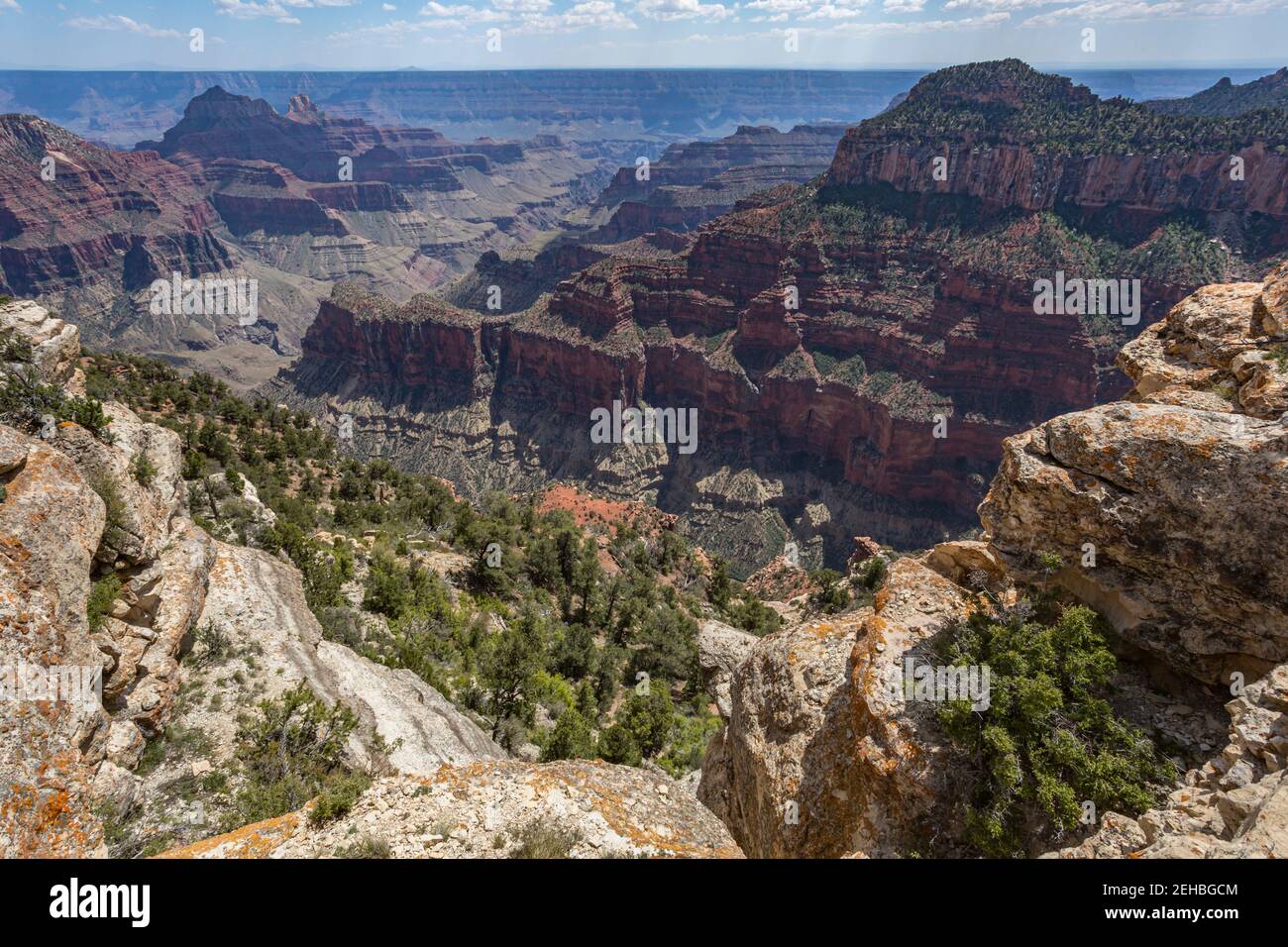 North Rim of the Grand Canyon in Northern Arizona, USA Stock Photo - Alamy