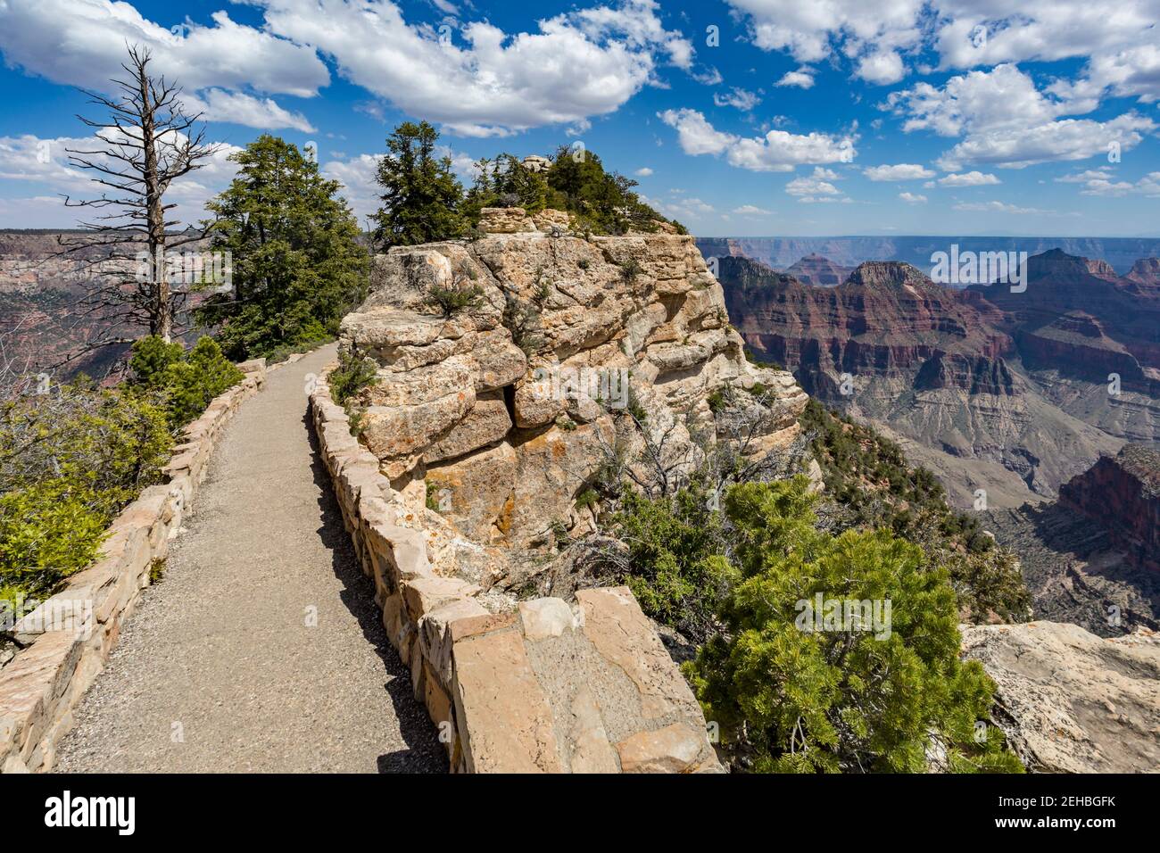 North Rim of the Grand Canyon in Northern Arizona, USA Stock Photo - Alamy