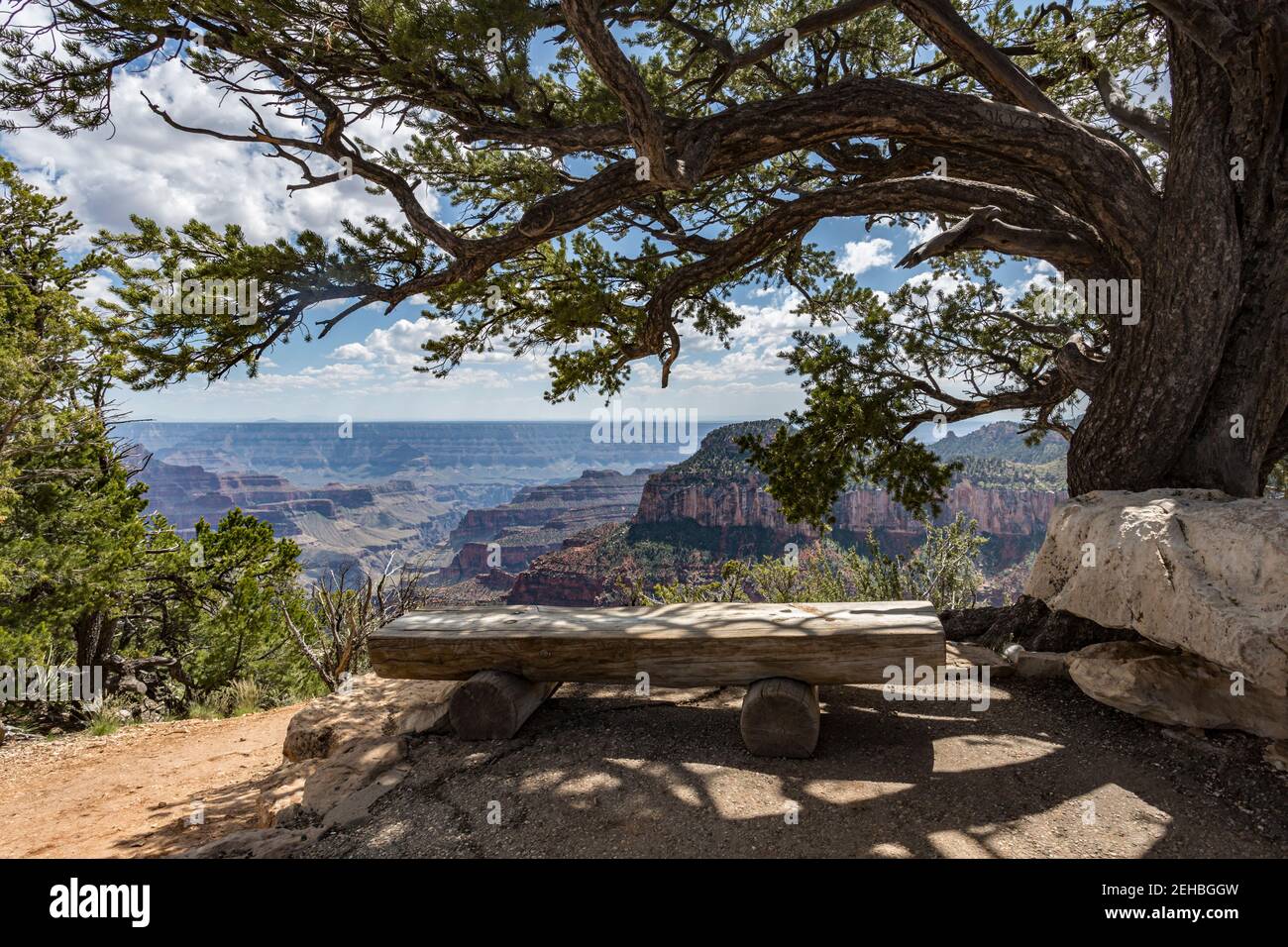 North Rim of the Grand Canyon in Northern Arizona, USA Stock Photo - Alamy