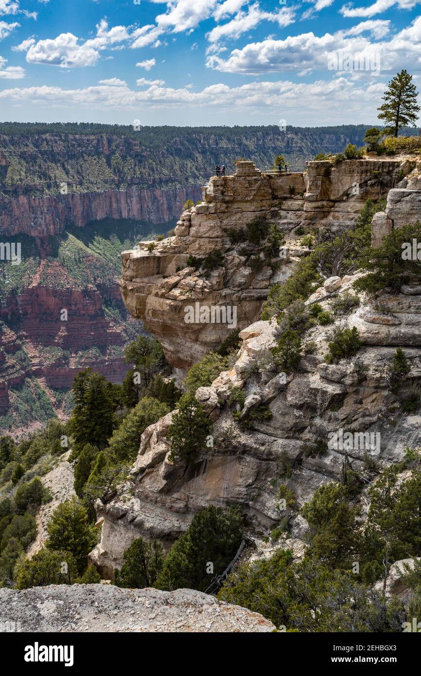 North Rim of the Grand Canyon in Northern Arizona, USA Stock Photo - Alamy