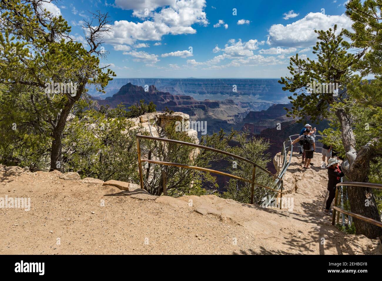 North Rim of the Grand Canyon in Northern Arizona, USA Stock Photo - Alamy