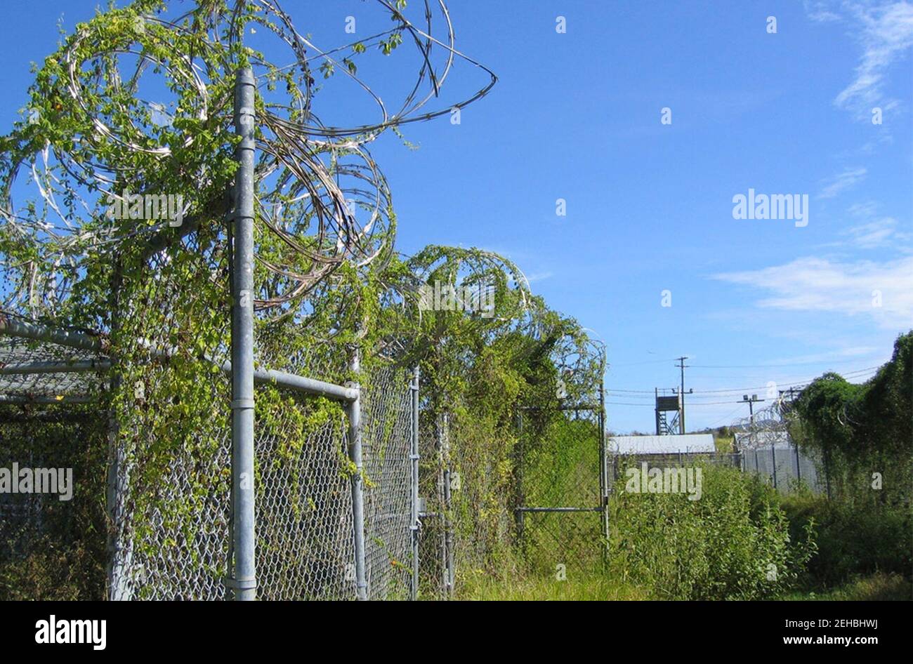 Overgrown camp xray in 2007 Stock Photo - Alamy