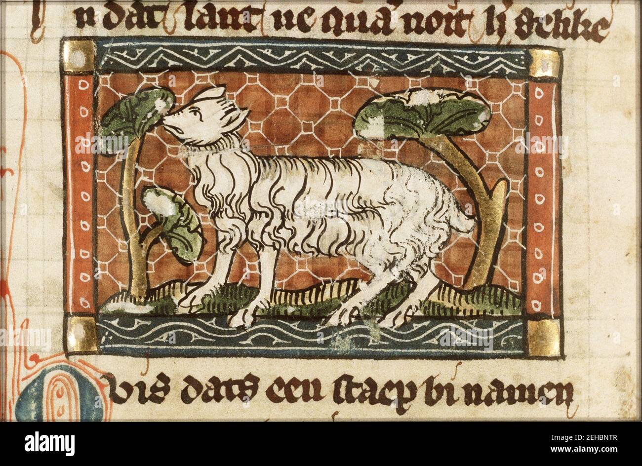 Ovis (sheep) - Der naturen bloeme - Jacob van Maerlant - KB KA 16 ...