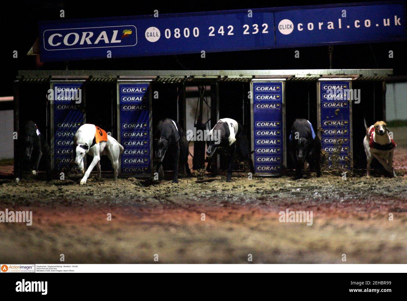 Romford greyhound racing hi-res stock photography and images - Alamy