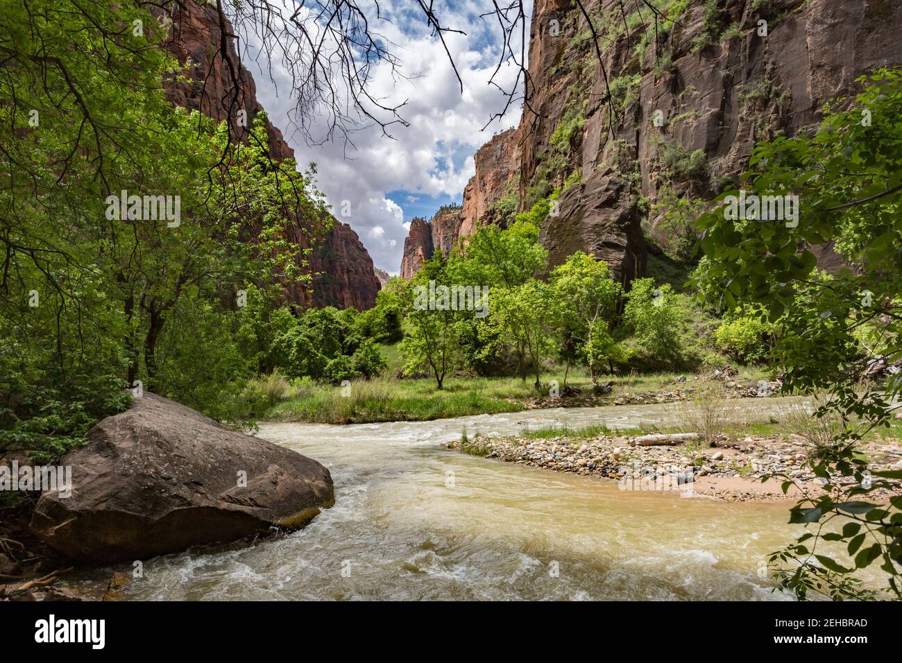 Zion National Park in Southwest Utah, USA Stock Photo - Alamy