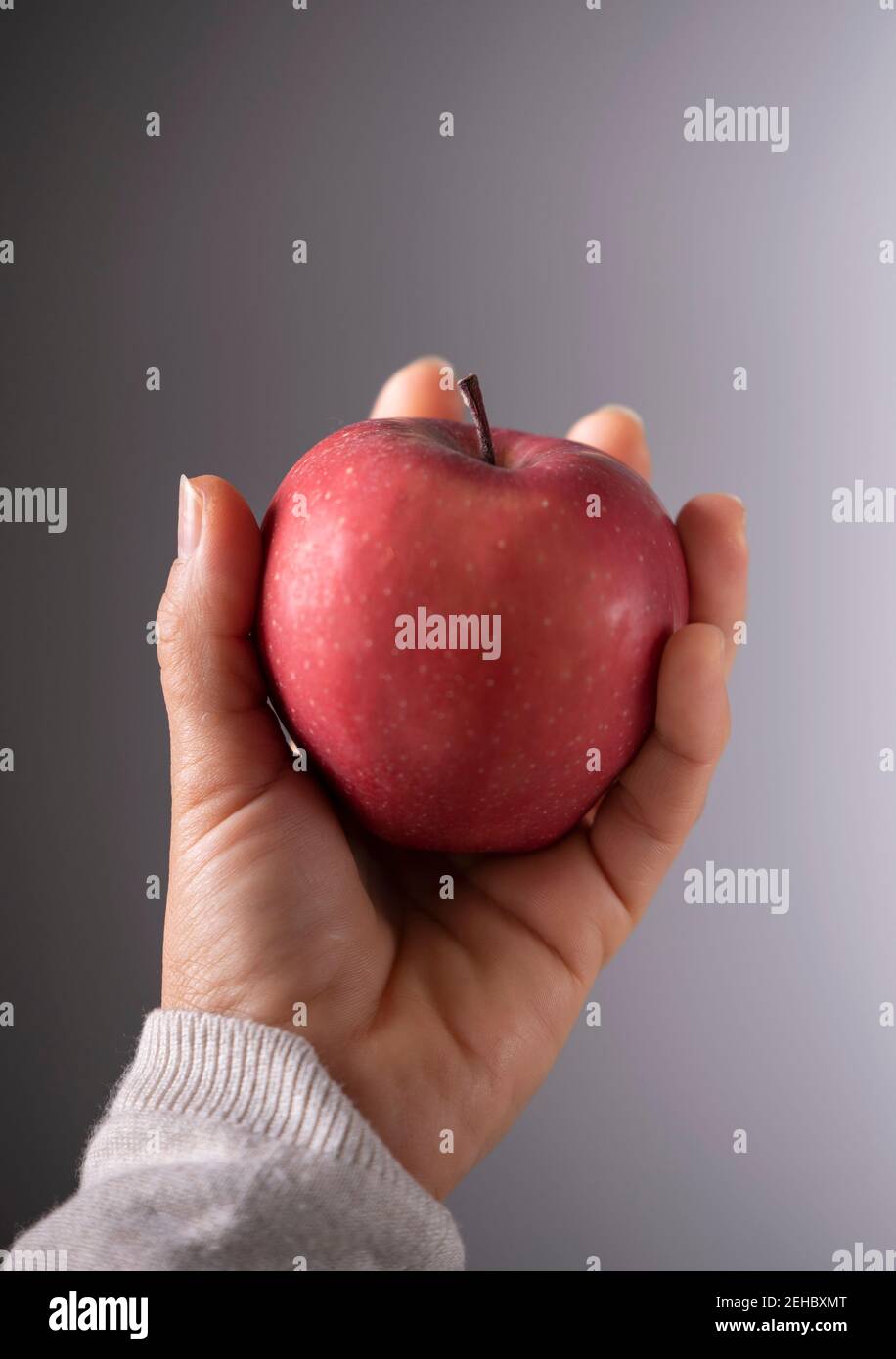 Alimentary hi-res stock photography and images - Alamy