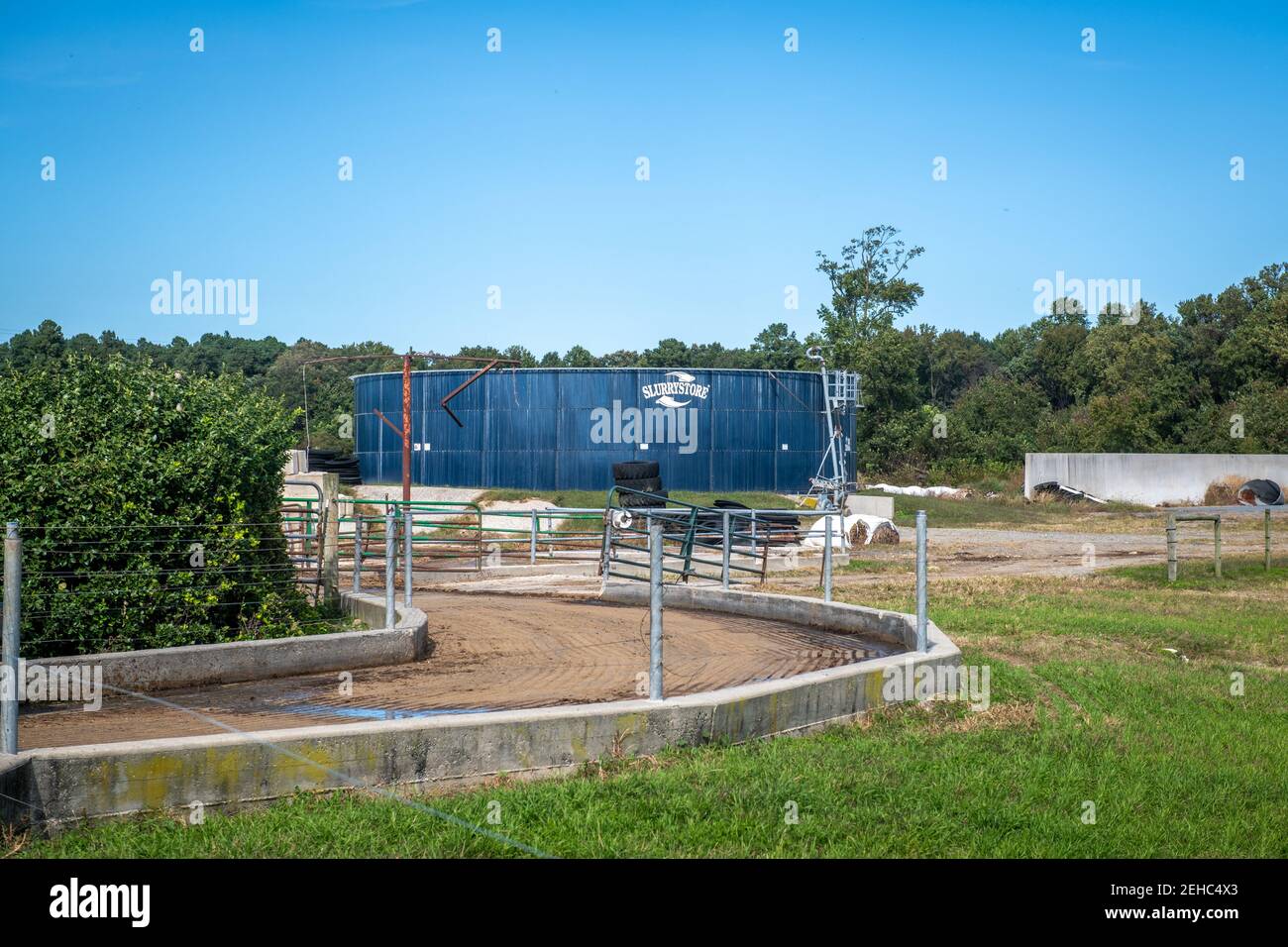 Cow waste storage Stock Photo - Alamy
