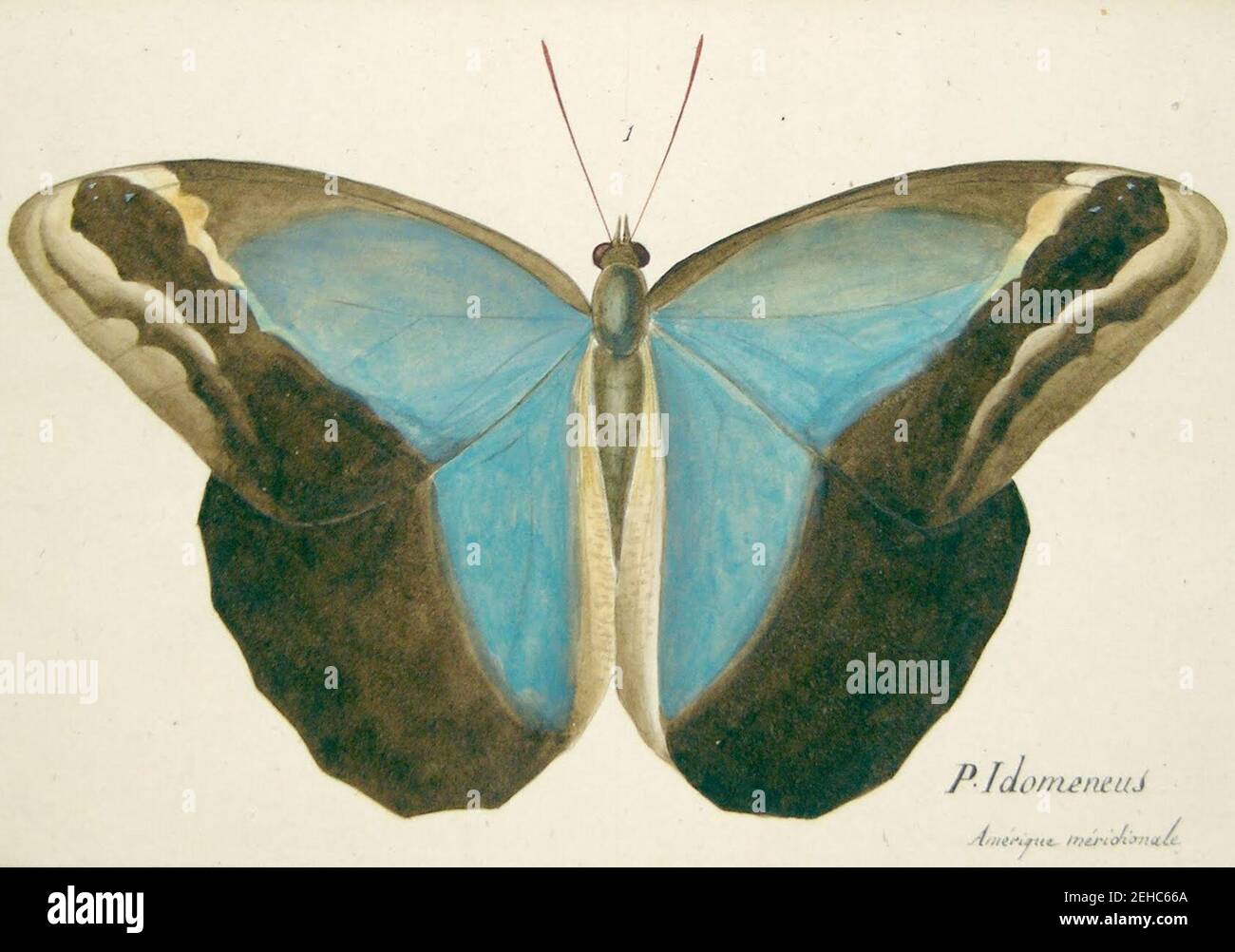 Idomeneus hi-res stock photography and images - Alamy