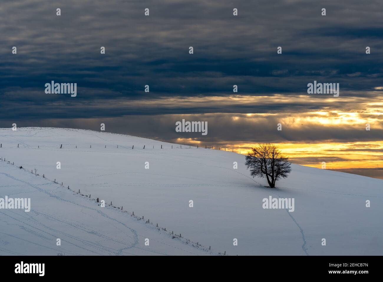 Single tree hill landscape hi-res stock photography and images - Alamy