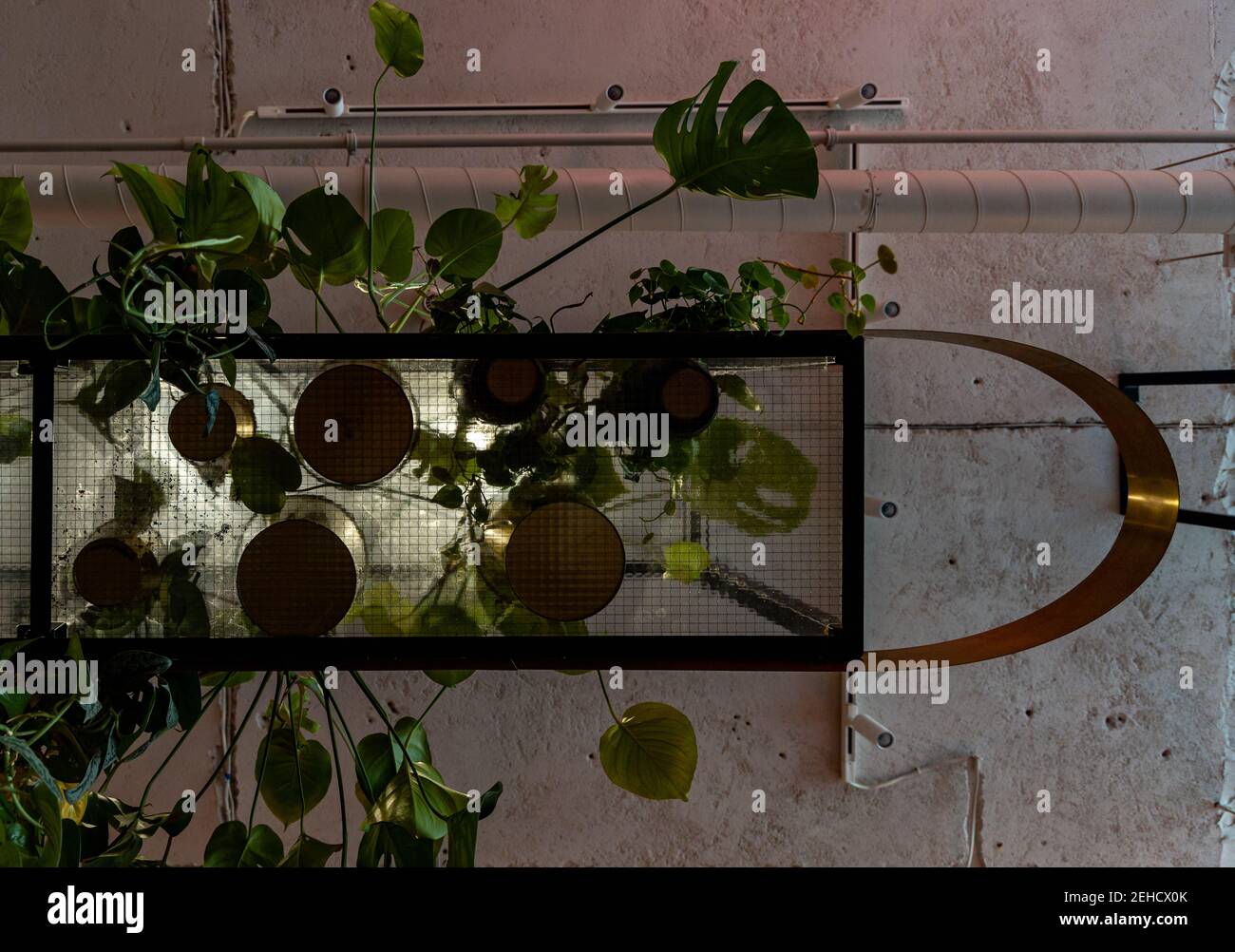 Transparent platform hi-res stock photography and images - Alamy