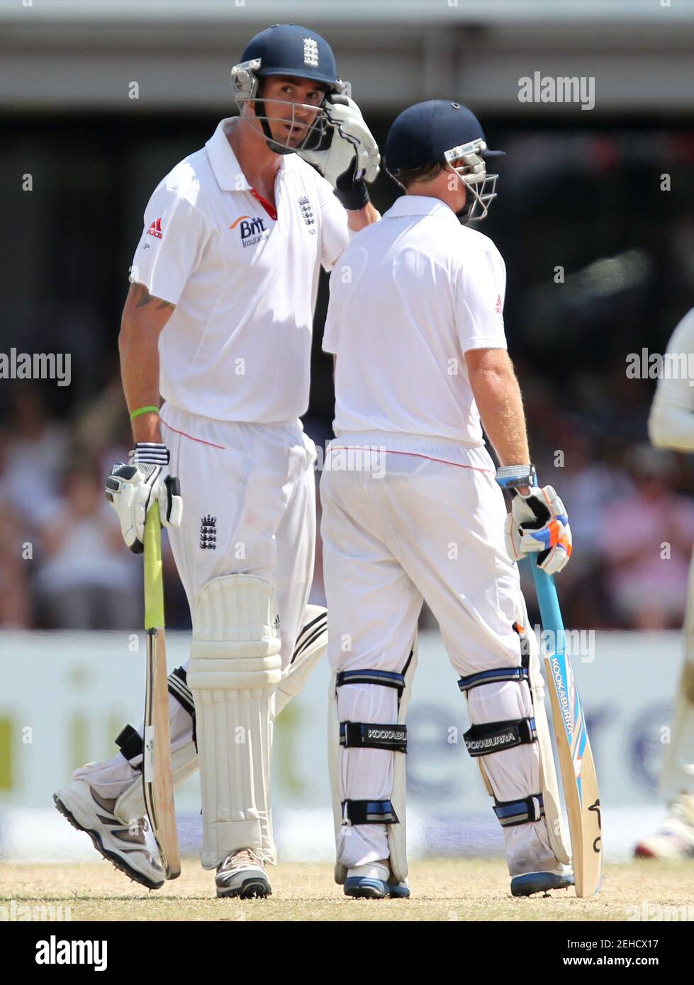 P sara oval hi-res stock photography and images - Alamy