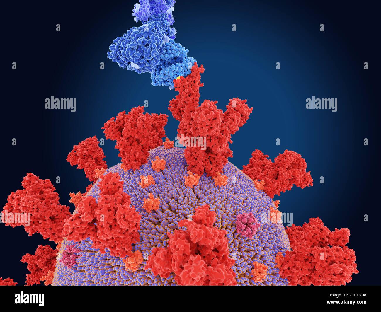 531 hi-res stock photography and images - Alamy