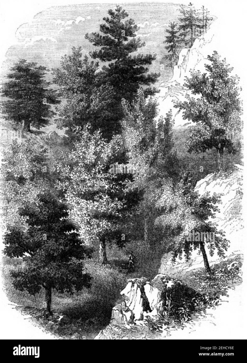 P108 Black and White Stock Photos & Images - Alamy