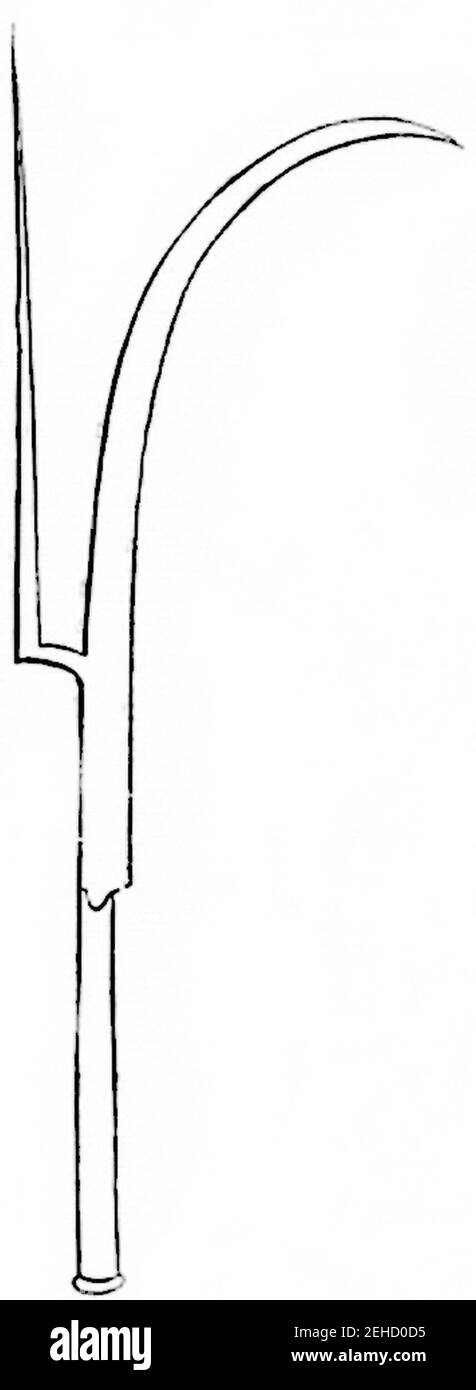 Gisarme hi-res stock photography and images - Alamy