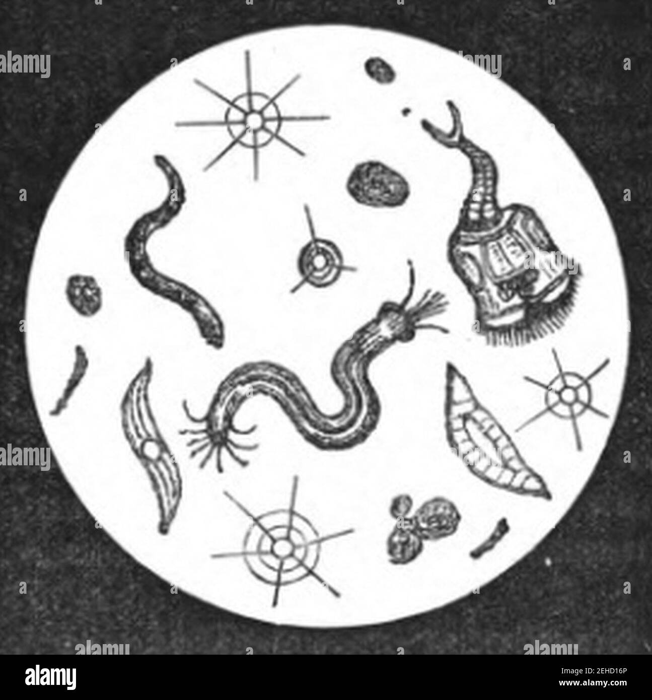 P157 hi-res stock photography and images - Alamy