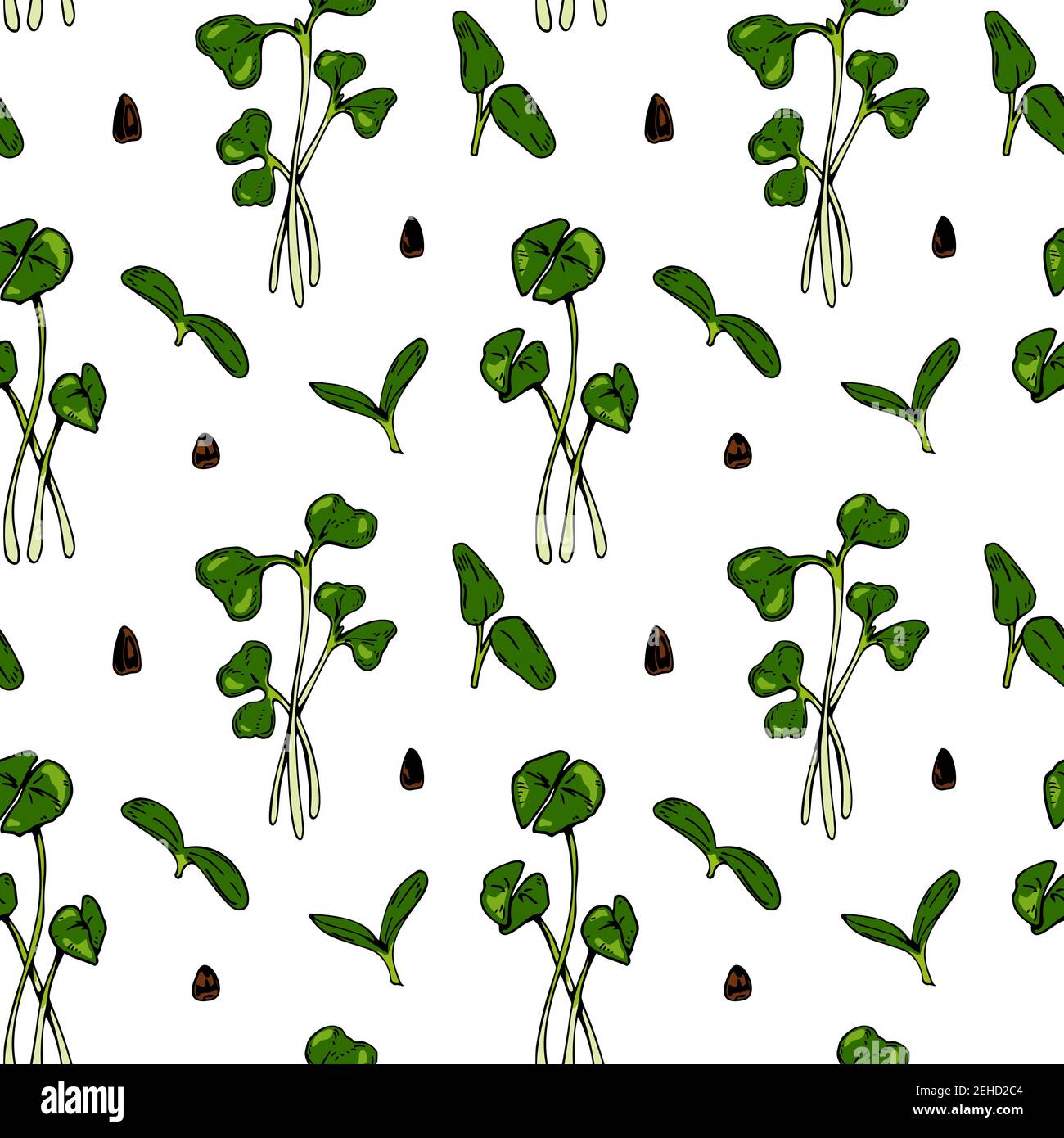 Hand drawn micro greens seamless pattern. Vector illustration in ...