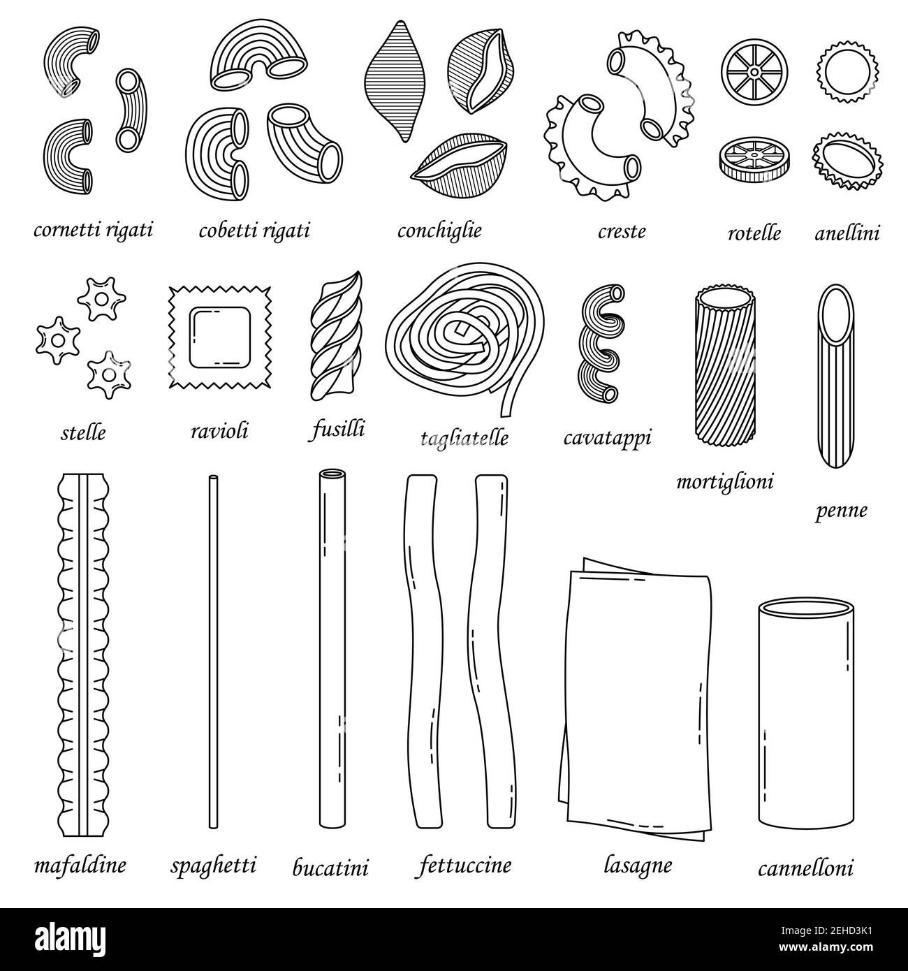 The vector set of different types of italian pasta. Line art and simple ...
