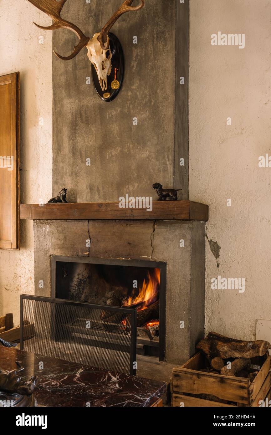 Interior of rustic hinting house with fireplace and horns of deer ...
