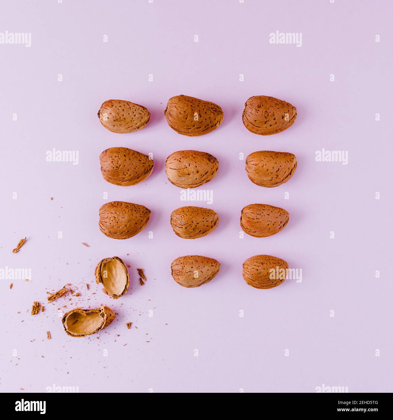 Oval shaped shell hi-res stock photography and images - Alamy