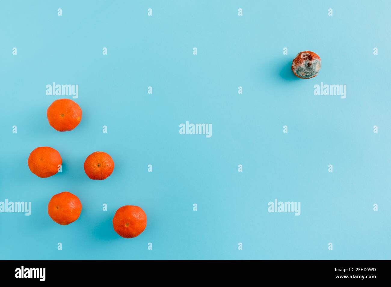 Top view of fresh juicy mandarins in different stages of ripening to ...
