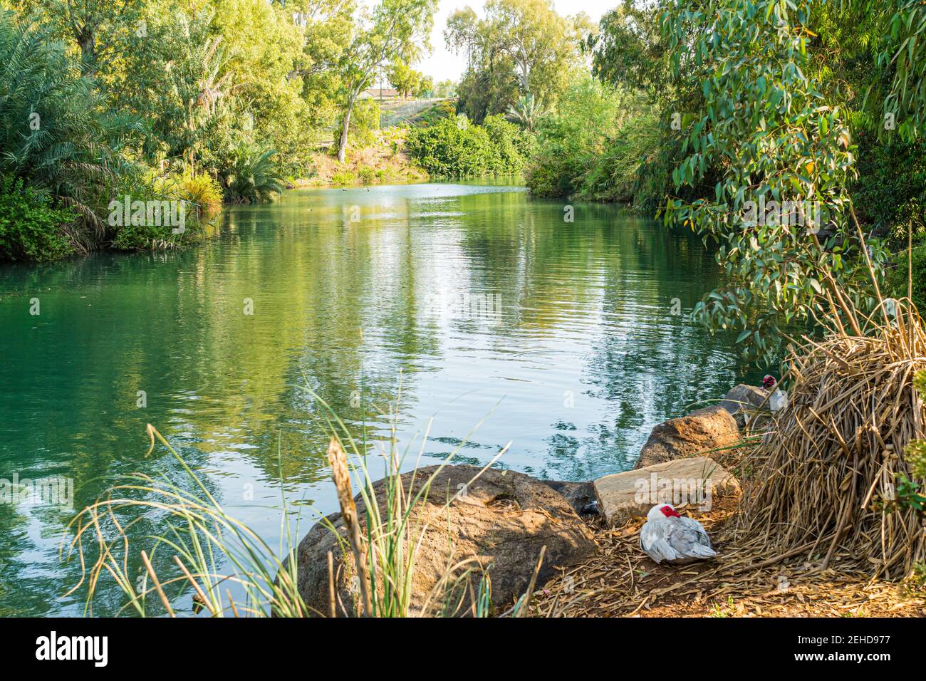 Jordan River Israel High Resolution Stock Photography and Images - Alamy