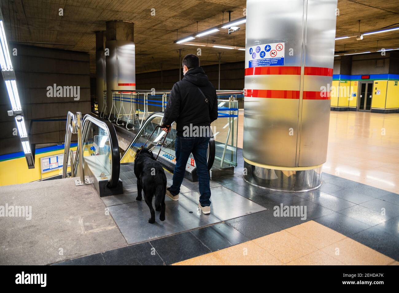 Back view full length of anonymous male suffering from blindness ...