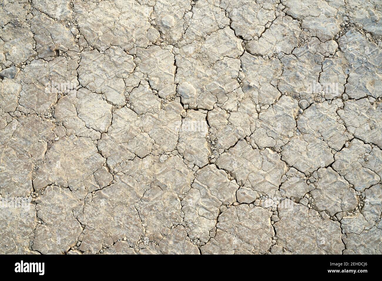 Above view of dry land cracks grey colour. Concept of dried soil Stock ...