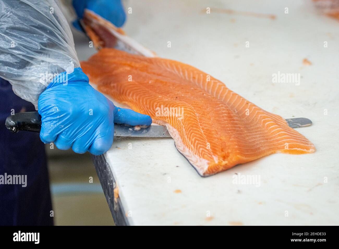 Worker cutting pieces of salmon at seafood packing plant, Jessup, MD ...