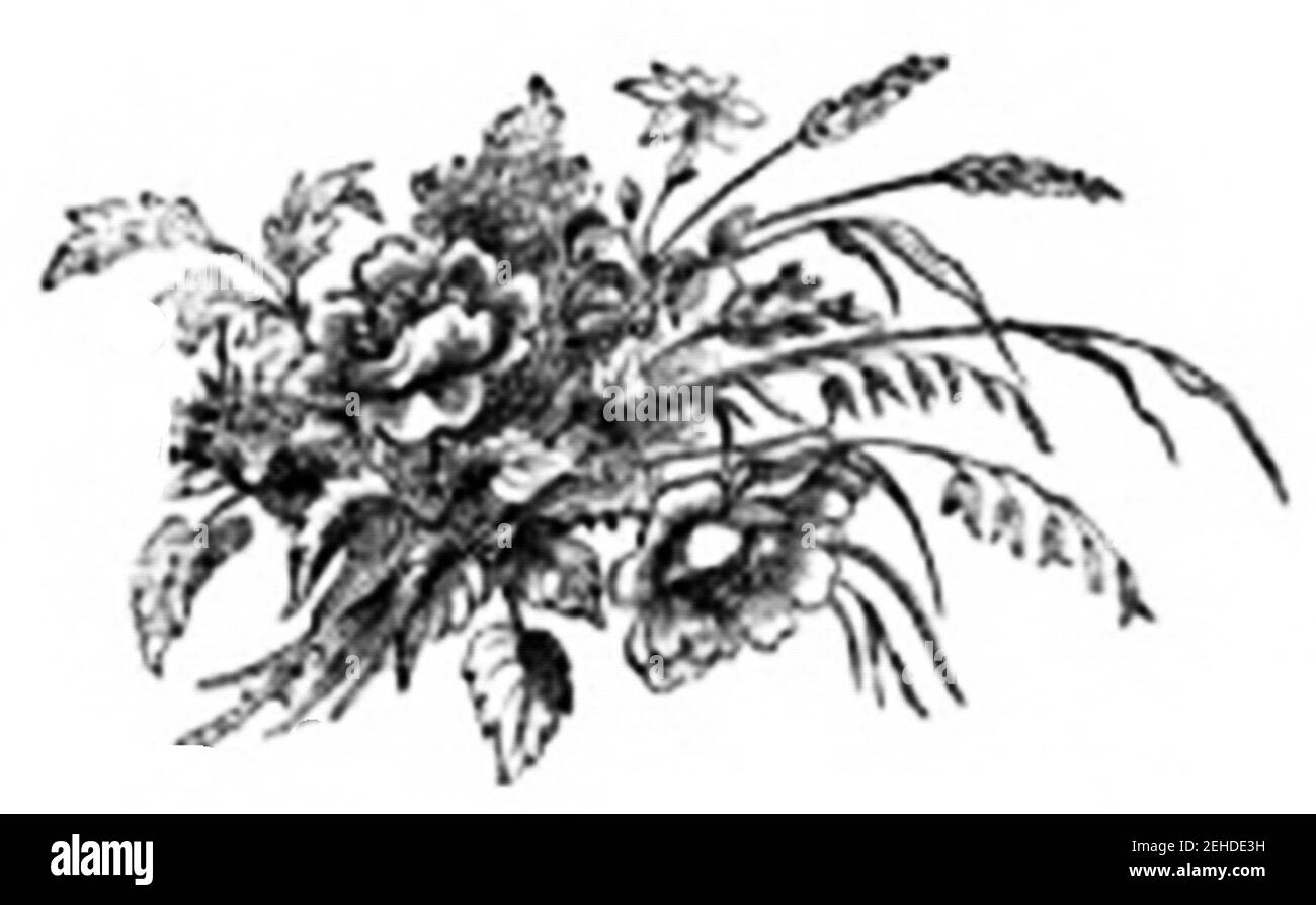 End flowers Black and White Stock Photos & Images - Alamy