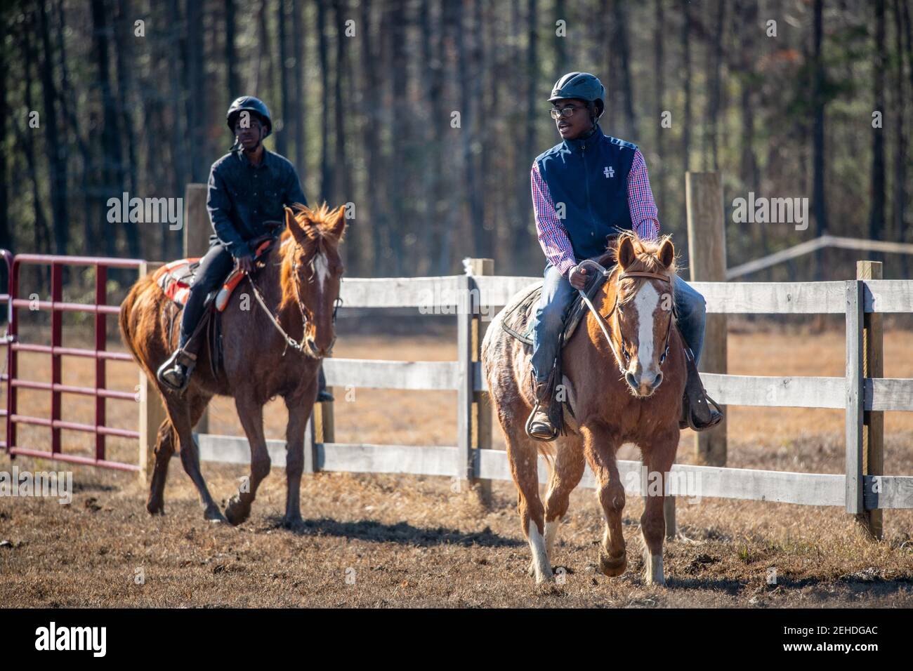 Two boys riding horses hi-res stock photography and images - Alamy
