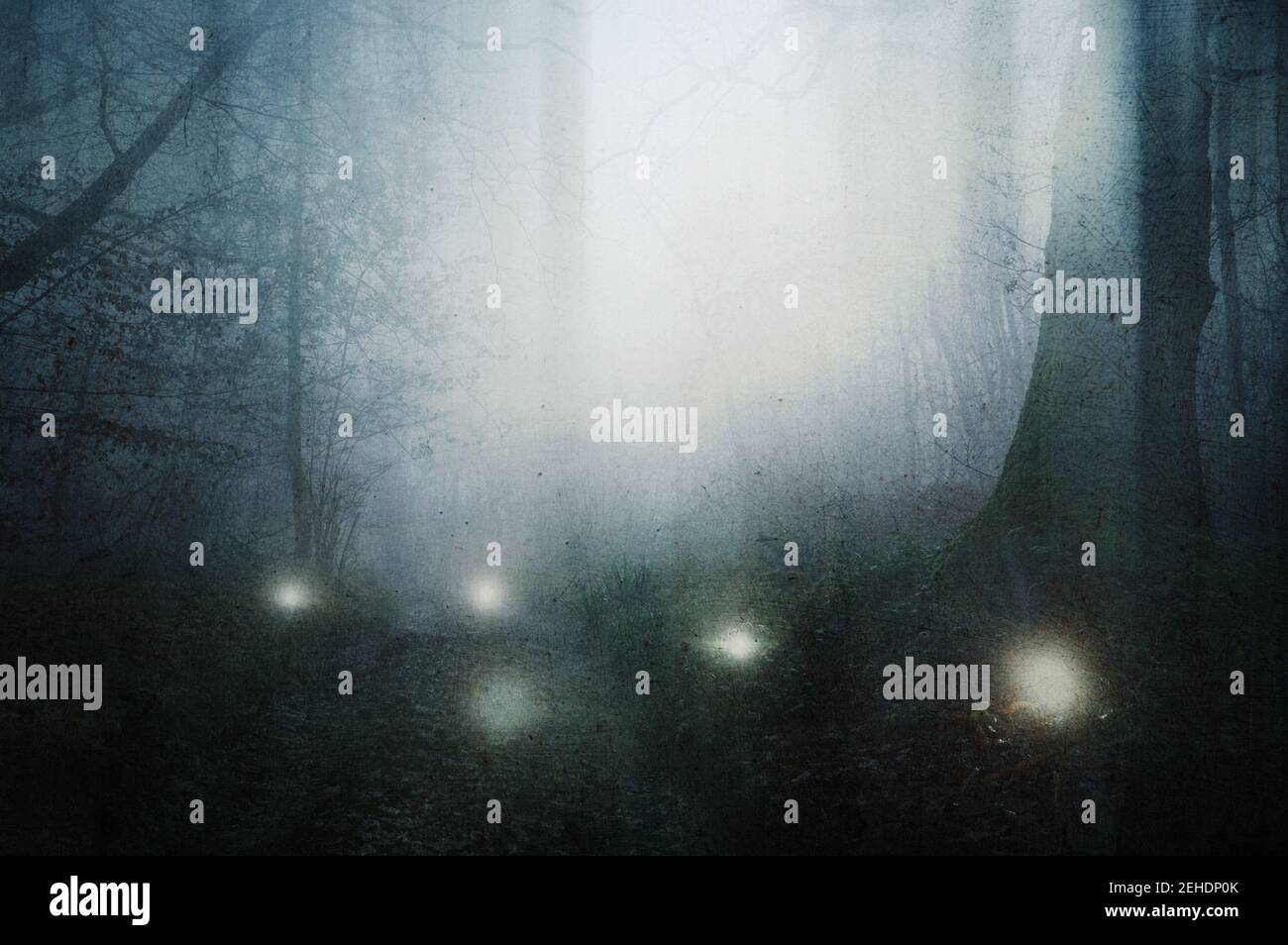 Orbs woods hi-res stock photography and images - Alamy