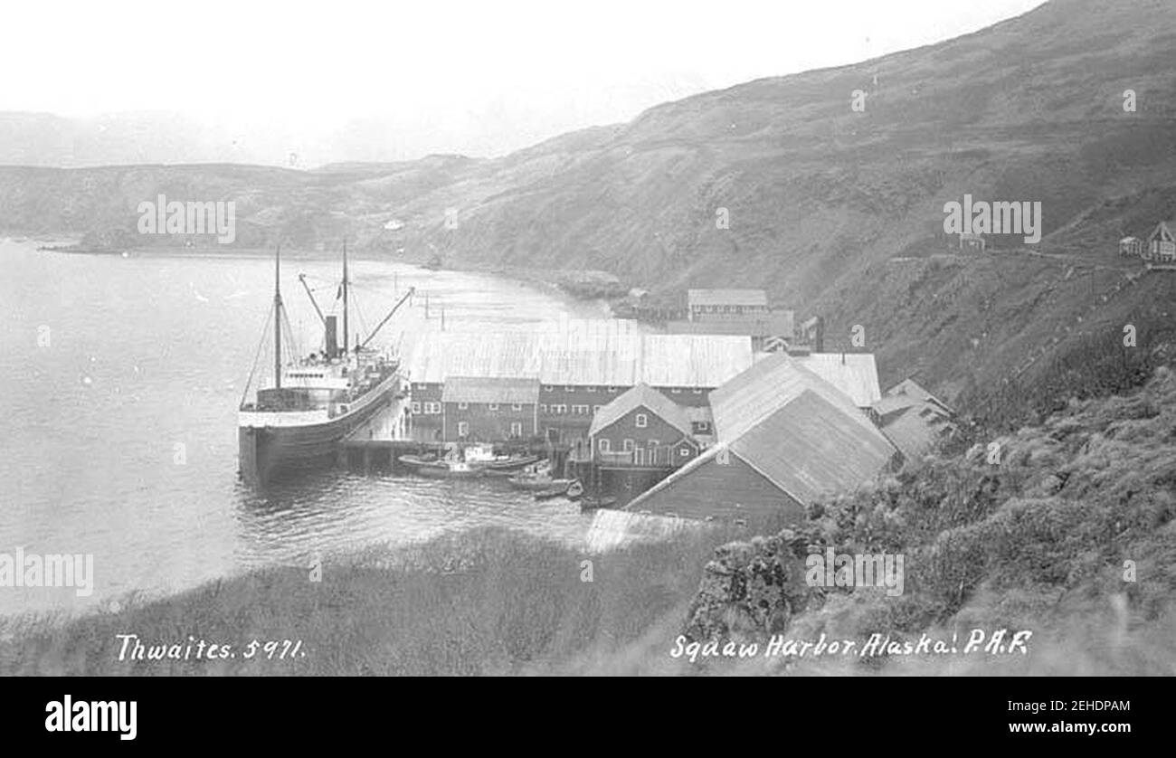 Pacific American Fisheries cannery at Squaw Harbor, ca 1912 Stock Photo ...