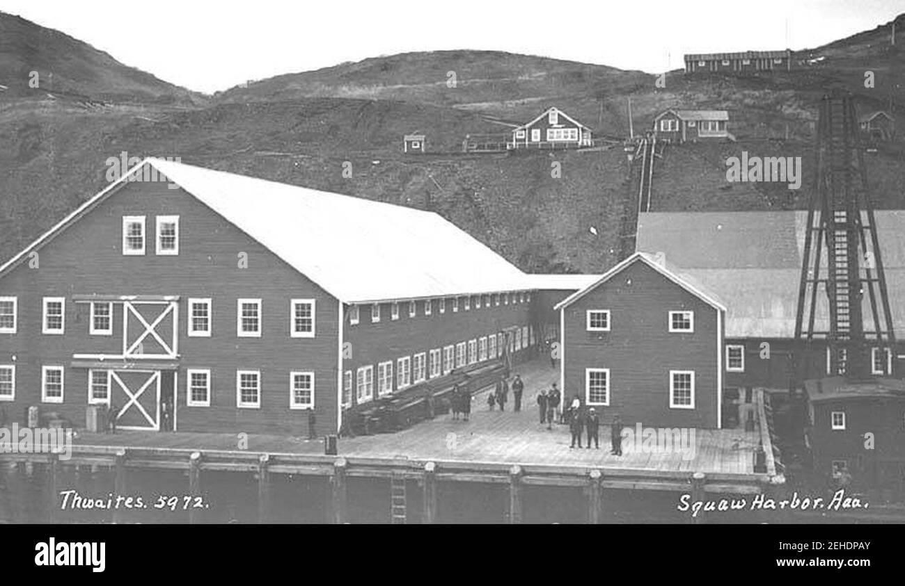 Pacific American Fisheries cannery buildings and houses at Squaw Harbor ...