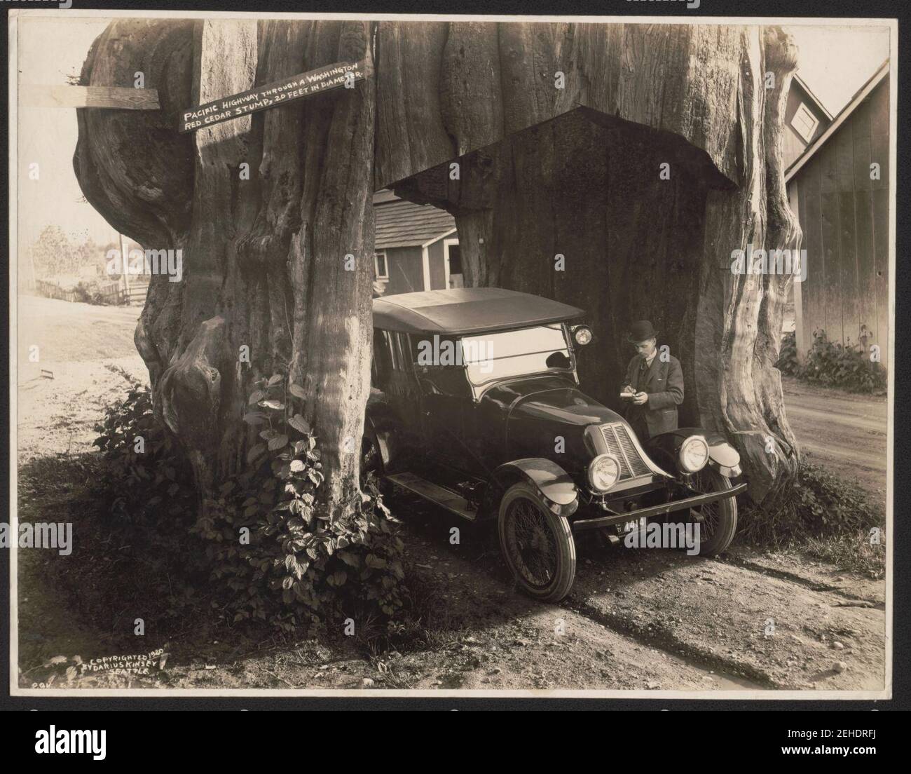Pacific Highway through a Washington red cedar stump, 20 feet in ...