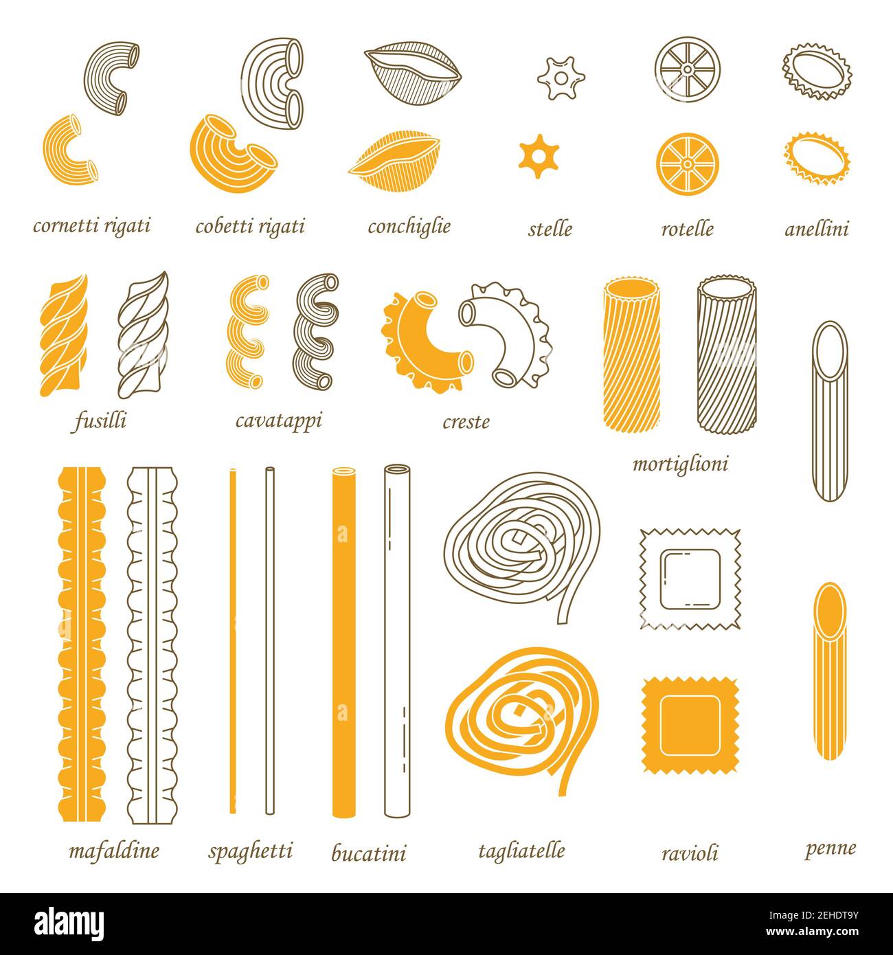 The vector set of different types of italian pasta. Line art and simple ...