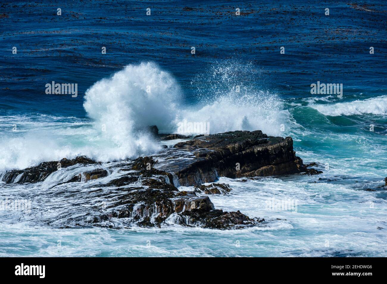 The coastline of Cape Dolphin Stock Photo - Alamy