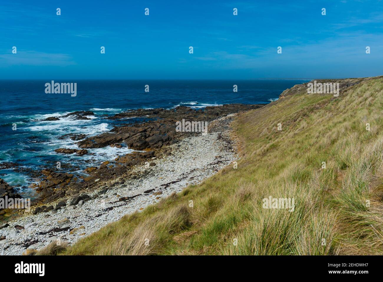 The coastline of Cape Dolphin Stock Photo - Alamy