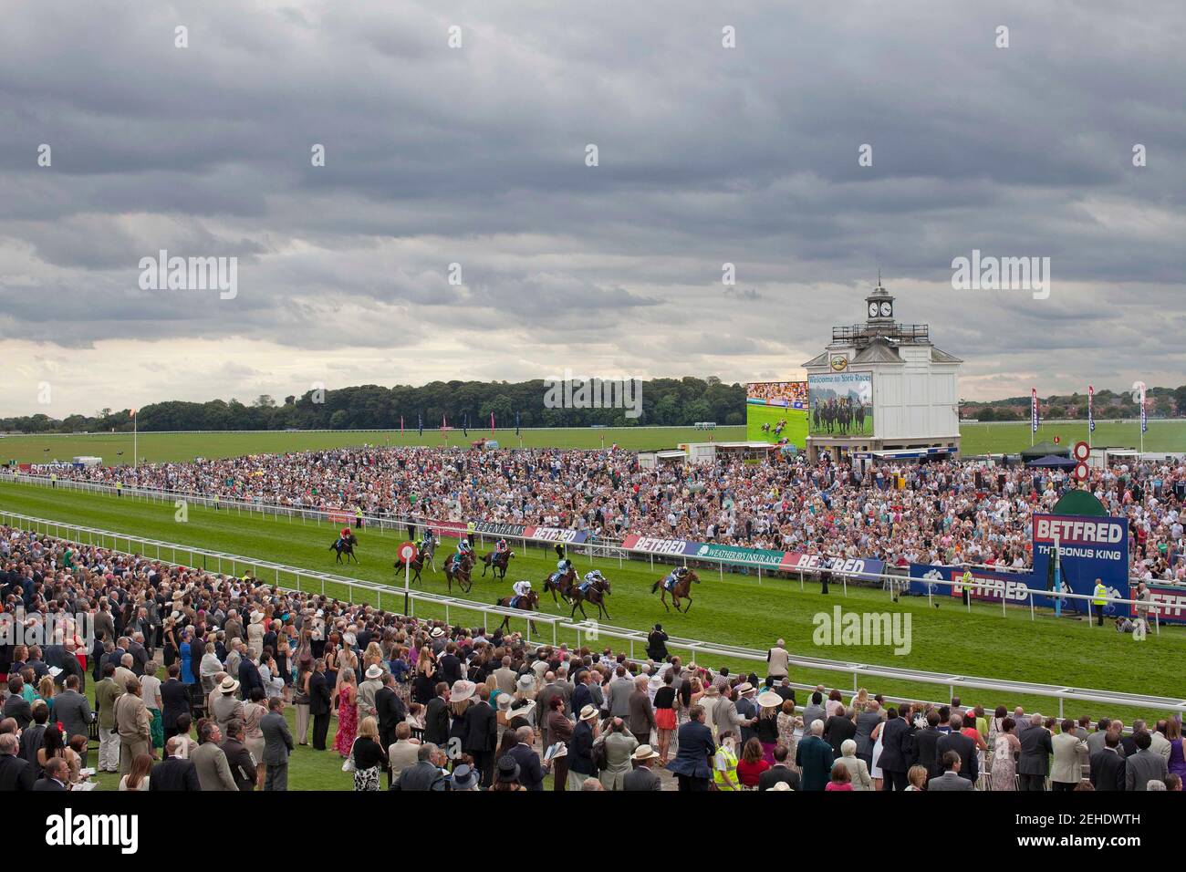 Julian graves hi-res stock photography and images - Alamy