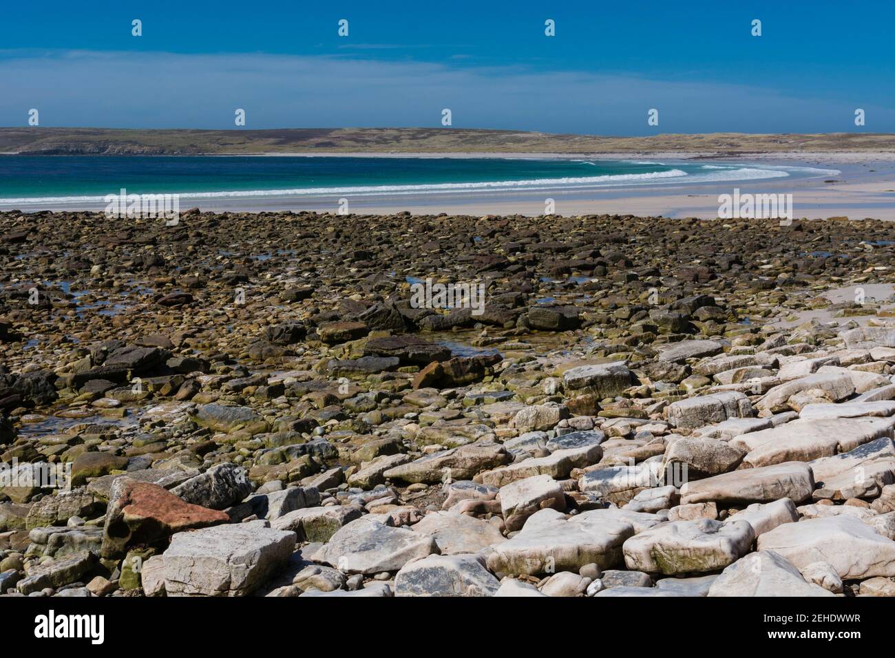 The coastline of Cape Dolphin Stock Photo - Alamy