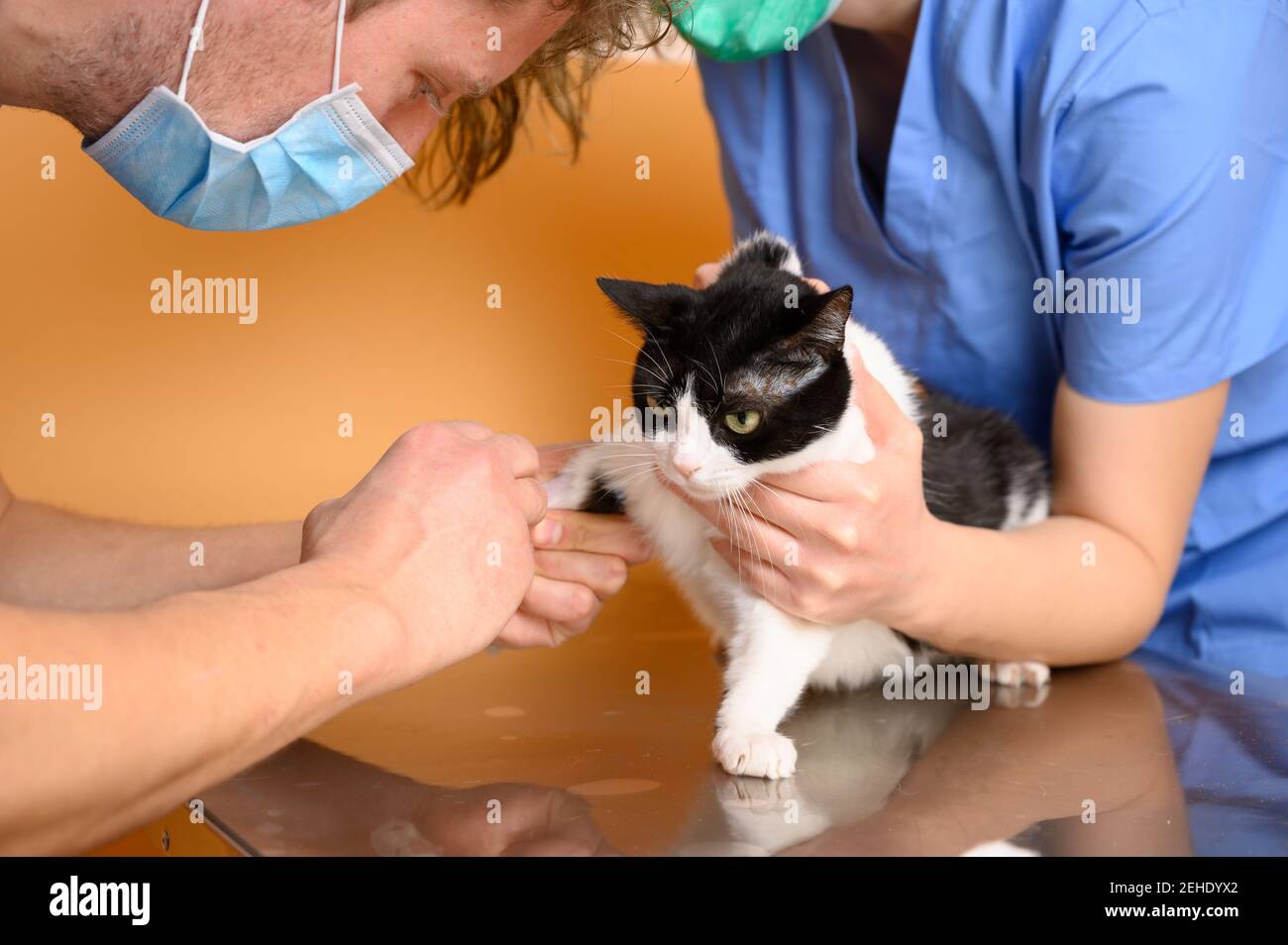 Sick on a drip hi-res stock photography and images - Alamy